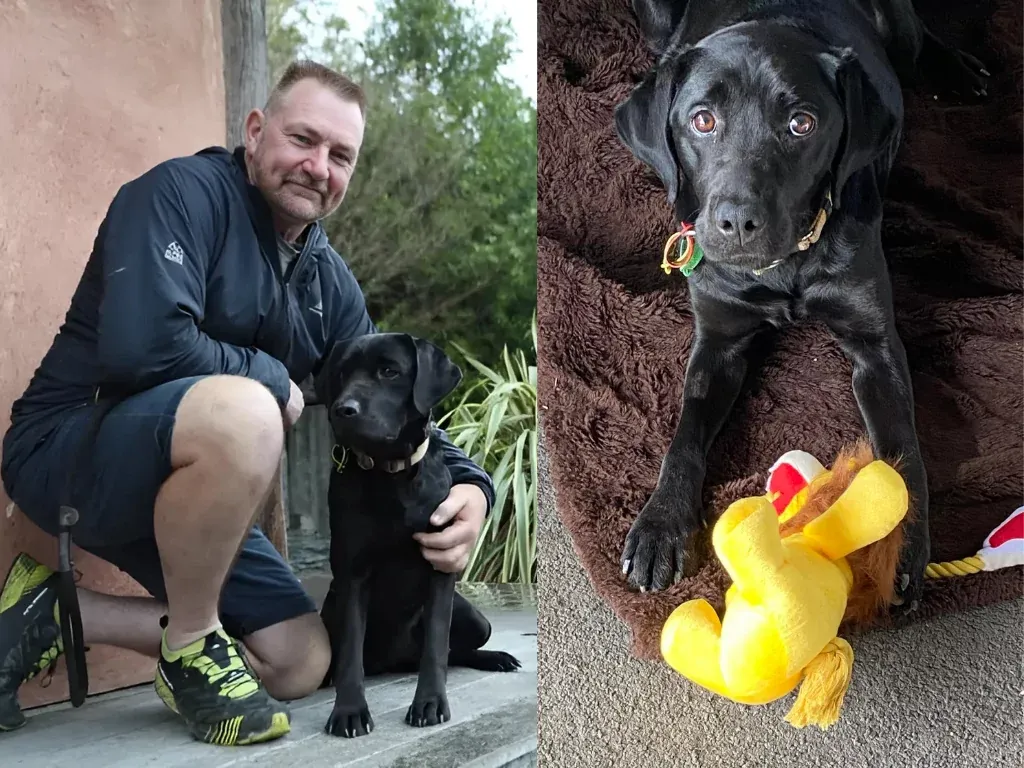 Tributes Are Flowing for Piper