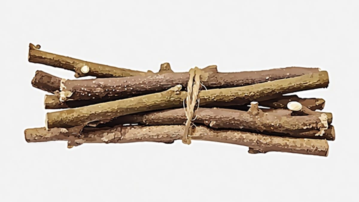 Labor Takes Branch-Stacking to a New Level