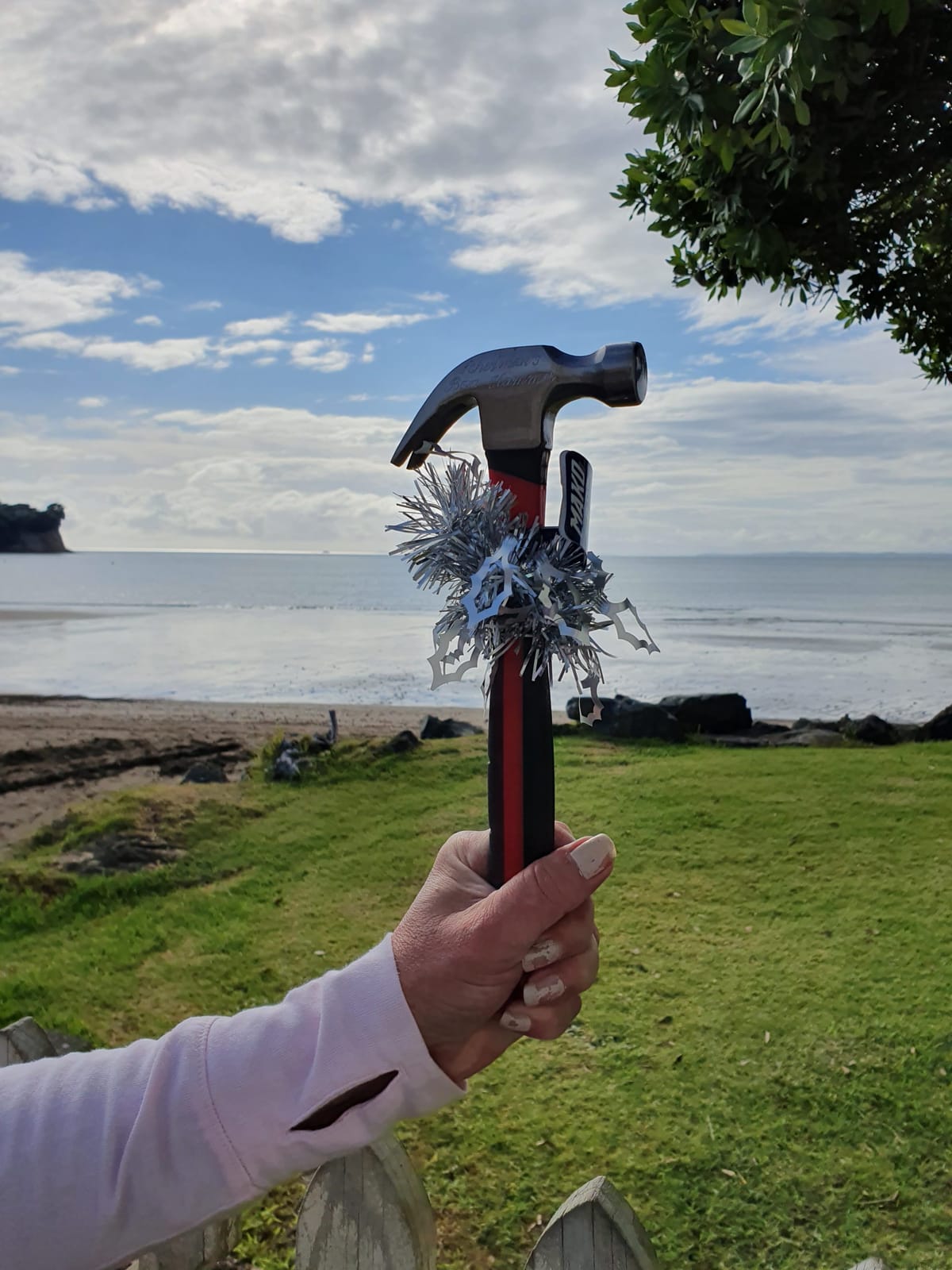 The BFD | BFD Survey