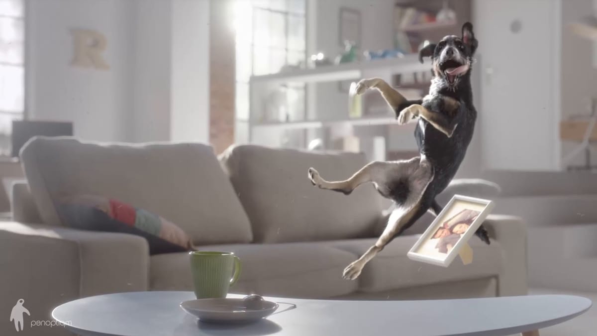 The BFD | Friday Fur: CG Animals