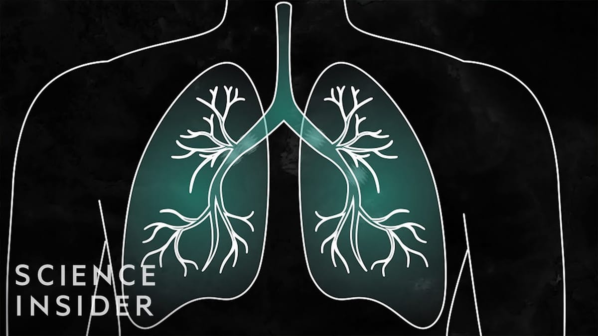 The BFD | The BFD Video: What Coronavirus Symptoms Look Like, Day by Day