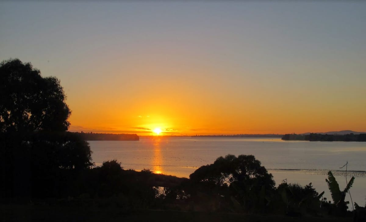 The BFD | Pandemic Psychology: Nothing New Under the Sun