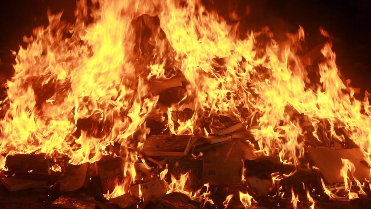 The BFD | The Triumph of the Book-Burners