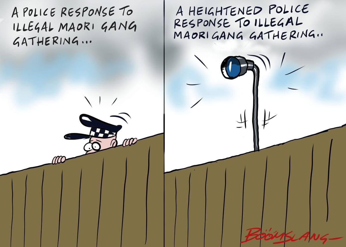 The BFD | Police Response