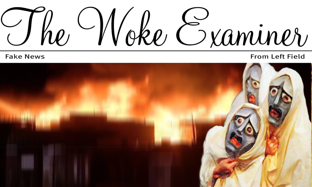 The BFD | Stuart Nash Defunds Police