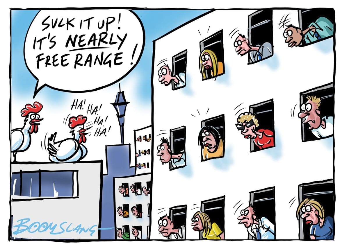 The BFD | FREE Taste: Cartoon by BoomSlang “Free Range”