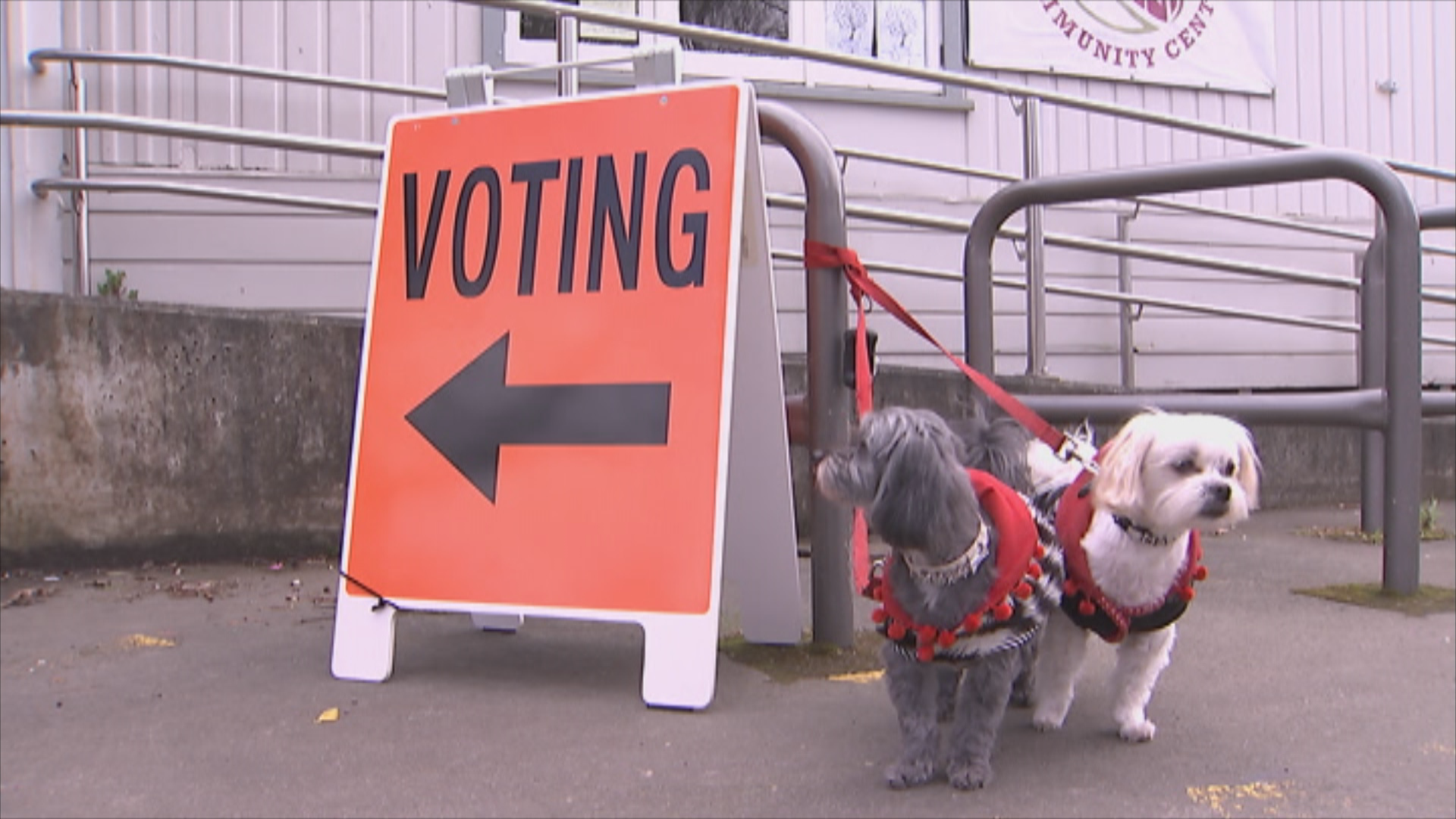 The BFD | A Wasted Vote?