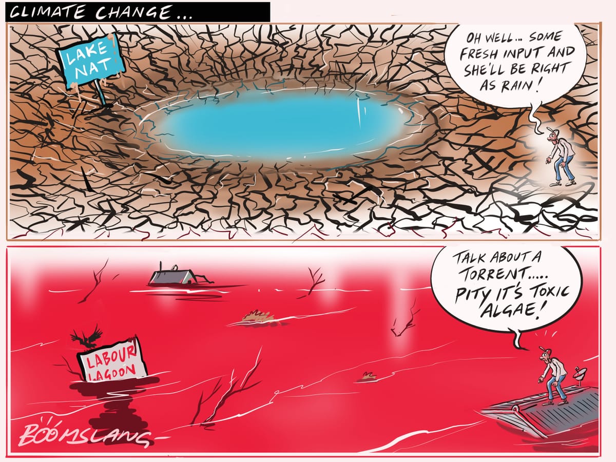 The BFD | Are You MISSING Out?