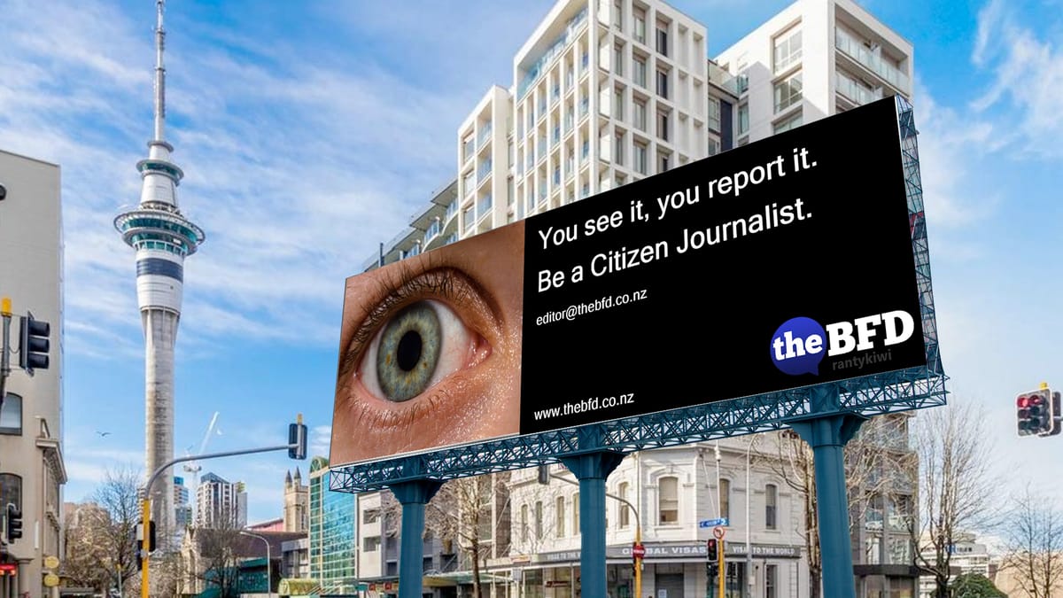 The BFD | Become World Famous in NZ