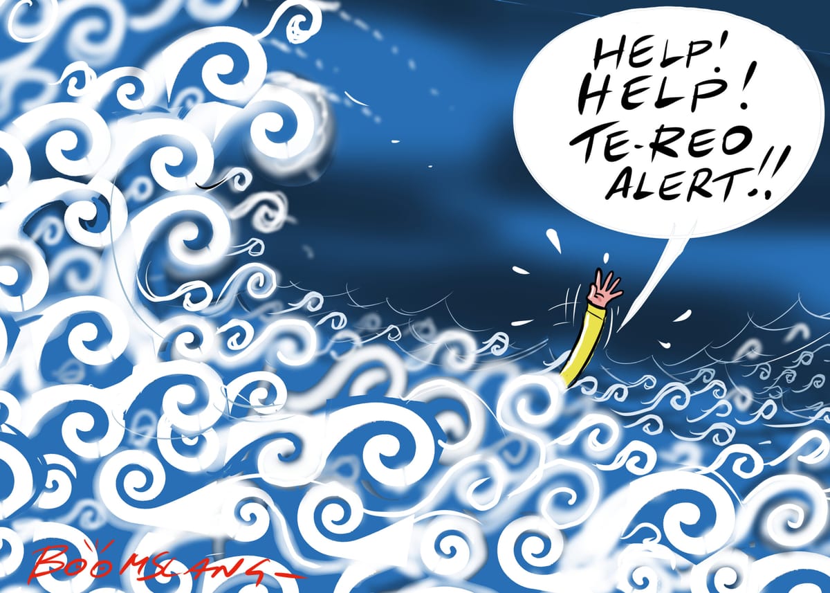 The BFD | Te Reo Alert