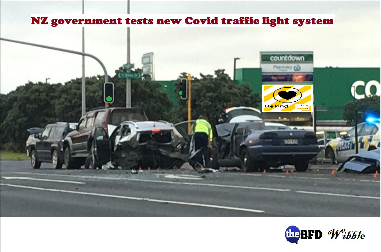 The BFD | Government Traffic Light System