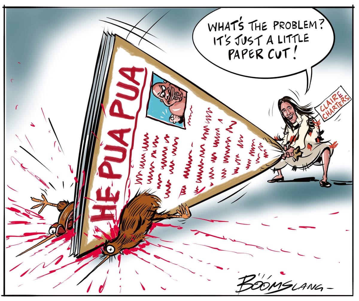 The BFD | The He Puapua Transformation