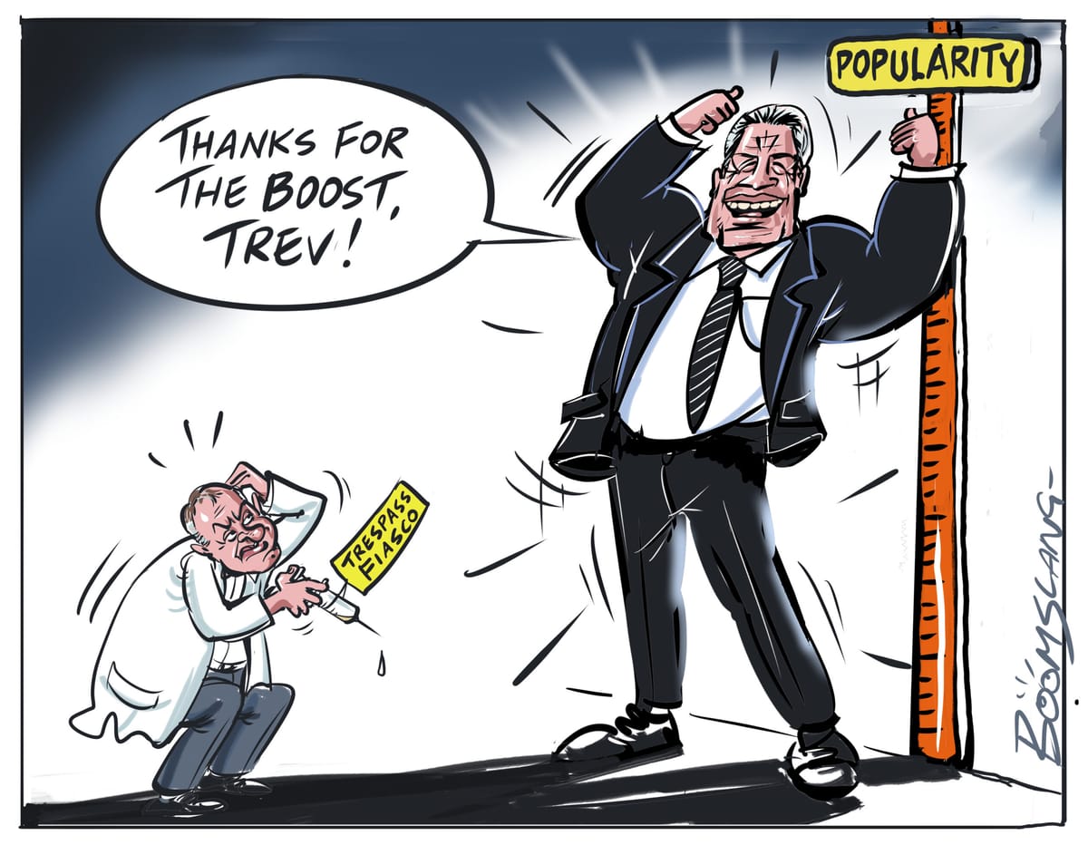 The BFD | Free Taste: Cartoons by SonovaMin & BoomSlang