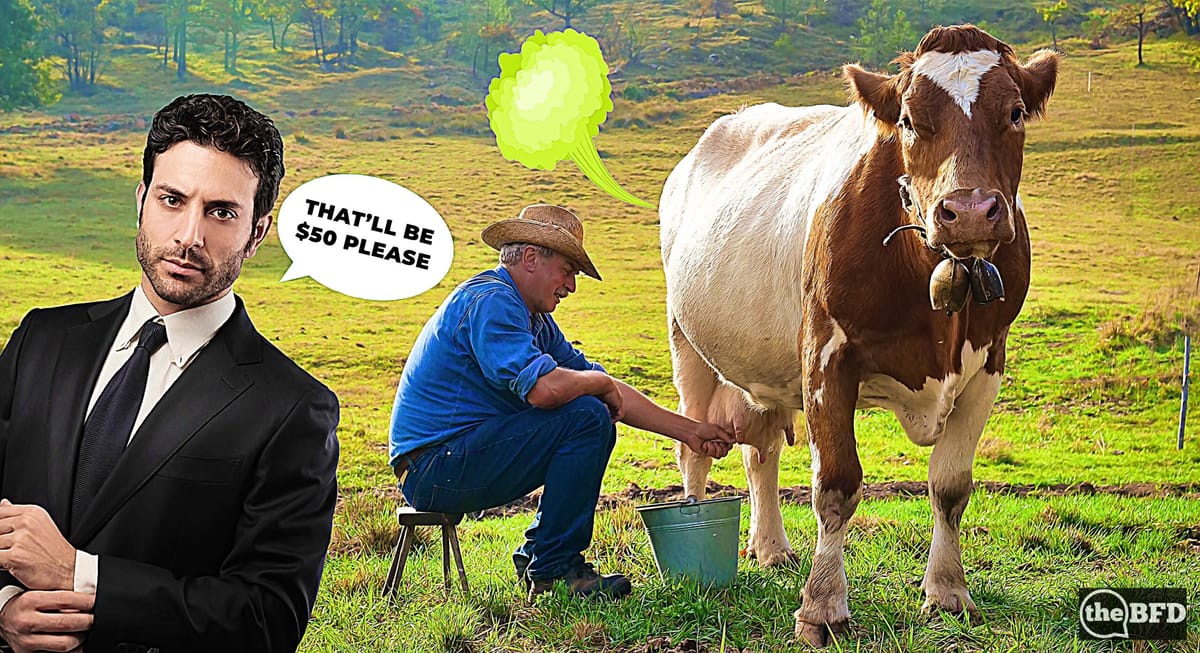 The BFD | New Zealand’s Fixation on Carbon