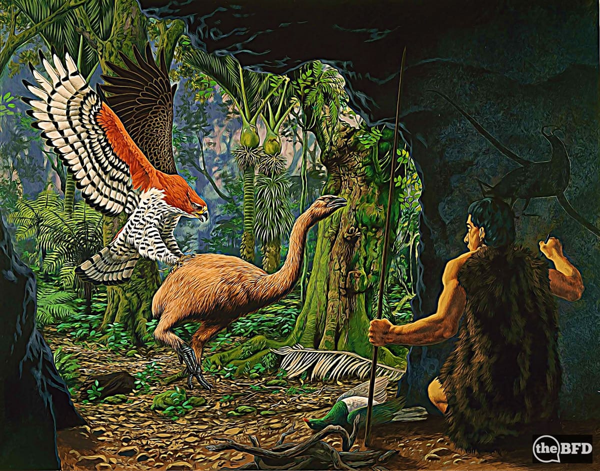 The BFD | Where Would Maori Be Today?