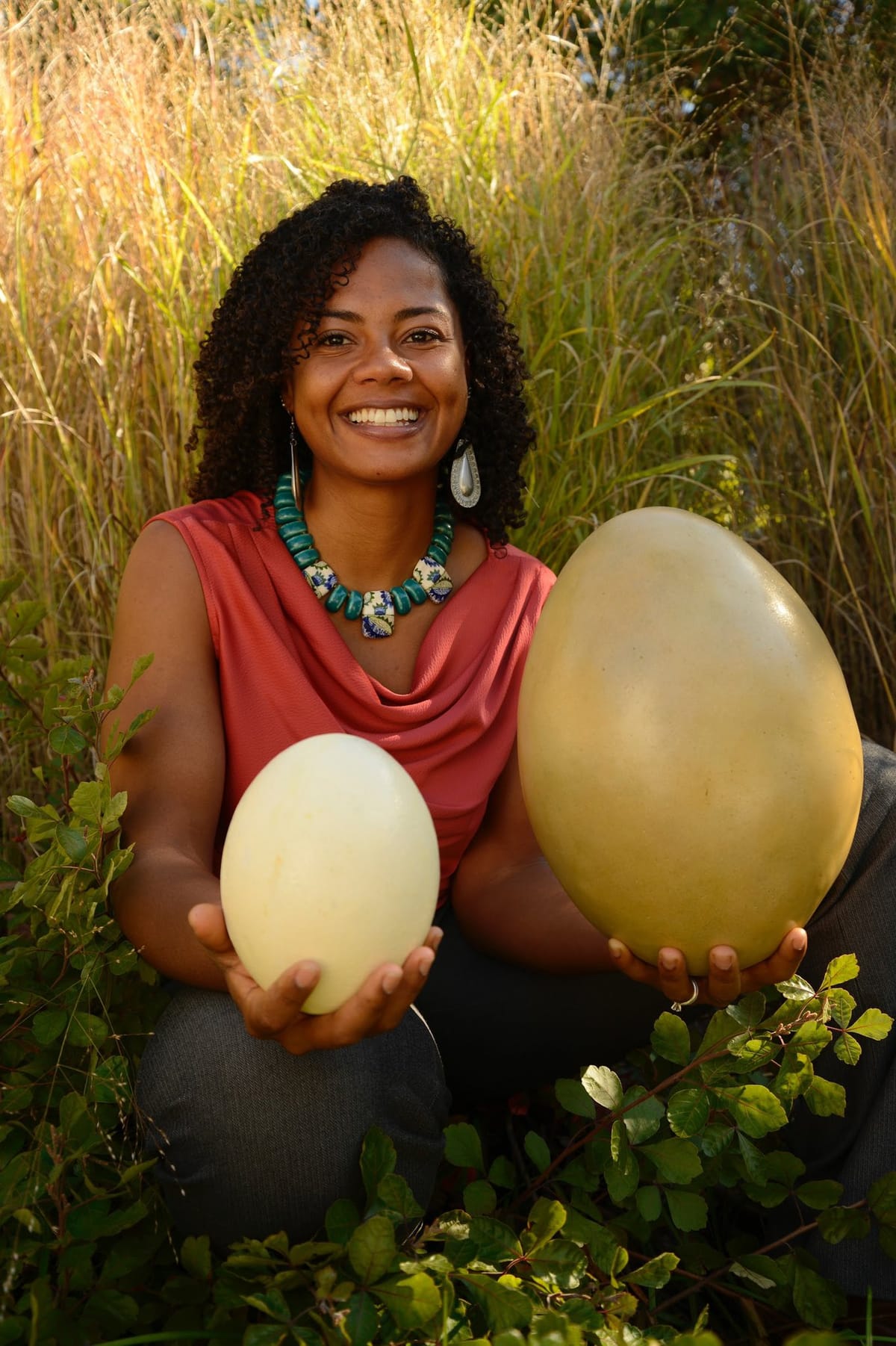 The BFD | How Extinct Elephant Birds Lived