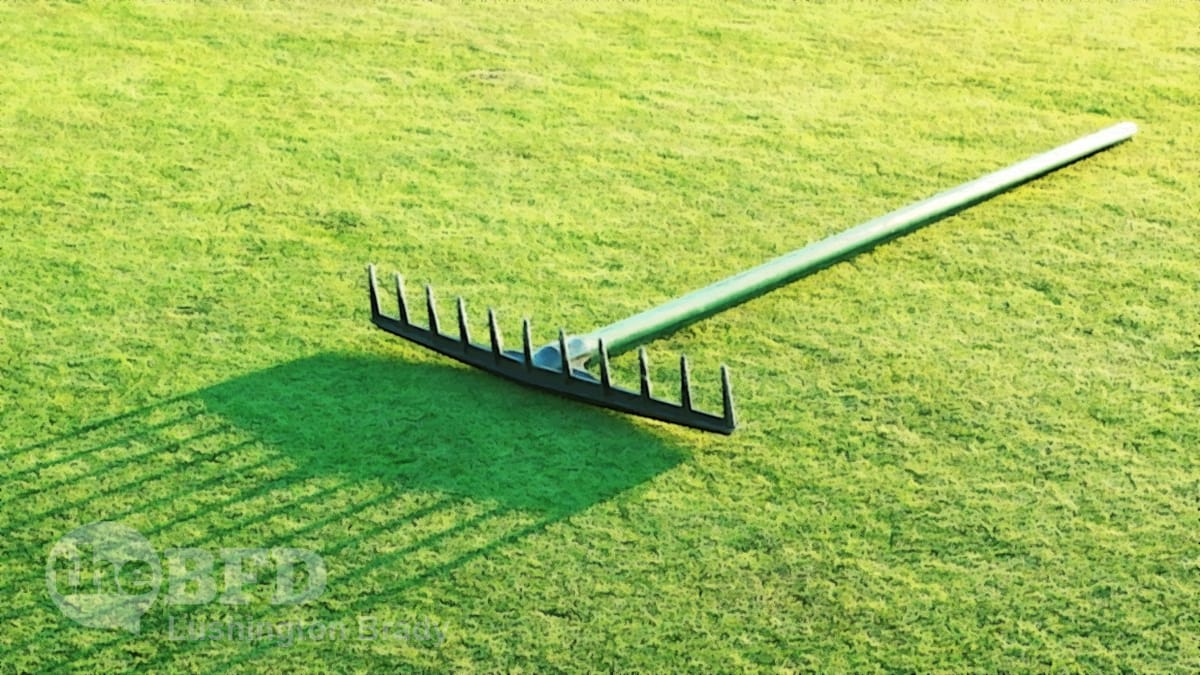 The BFD | Albo Steps on Another Rake