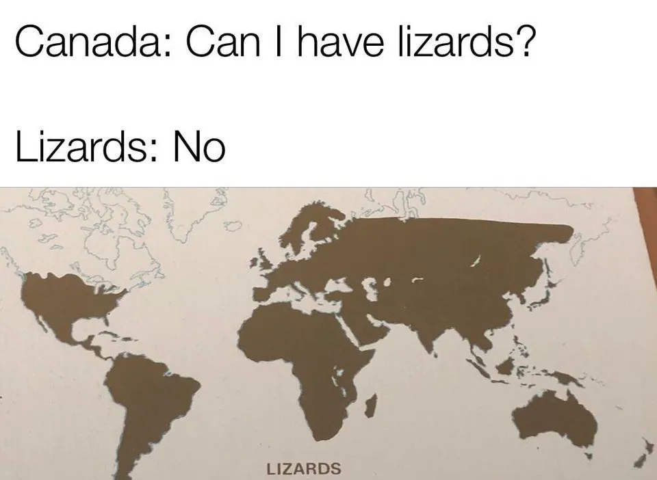 The BFD | Map of the Day: Lizards