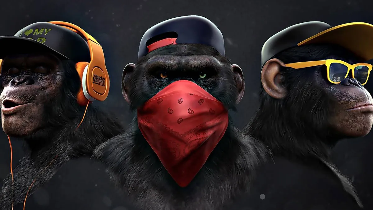 The BFD | 2020: Monkey Gang Fights and Cat Butthole Movies