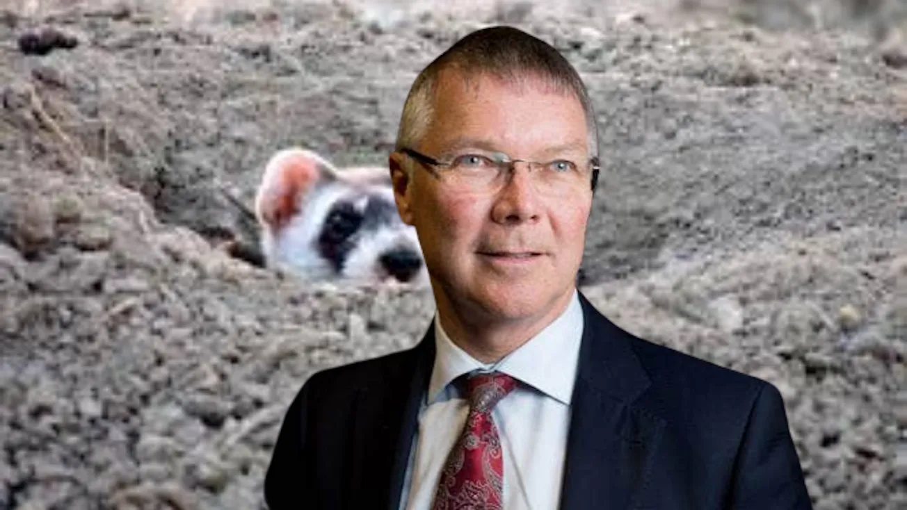 The BFD | Reverse Ferret Doing Back Flipsfacebooktwitterlinkedin