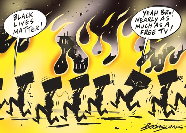 The BFD | The Winner of Our 2021 BFD Cartoonist of the Year Competition ...