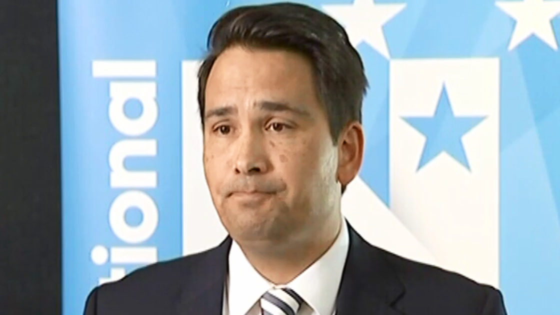 The BFD | Simon Bridges’ Speech