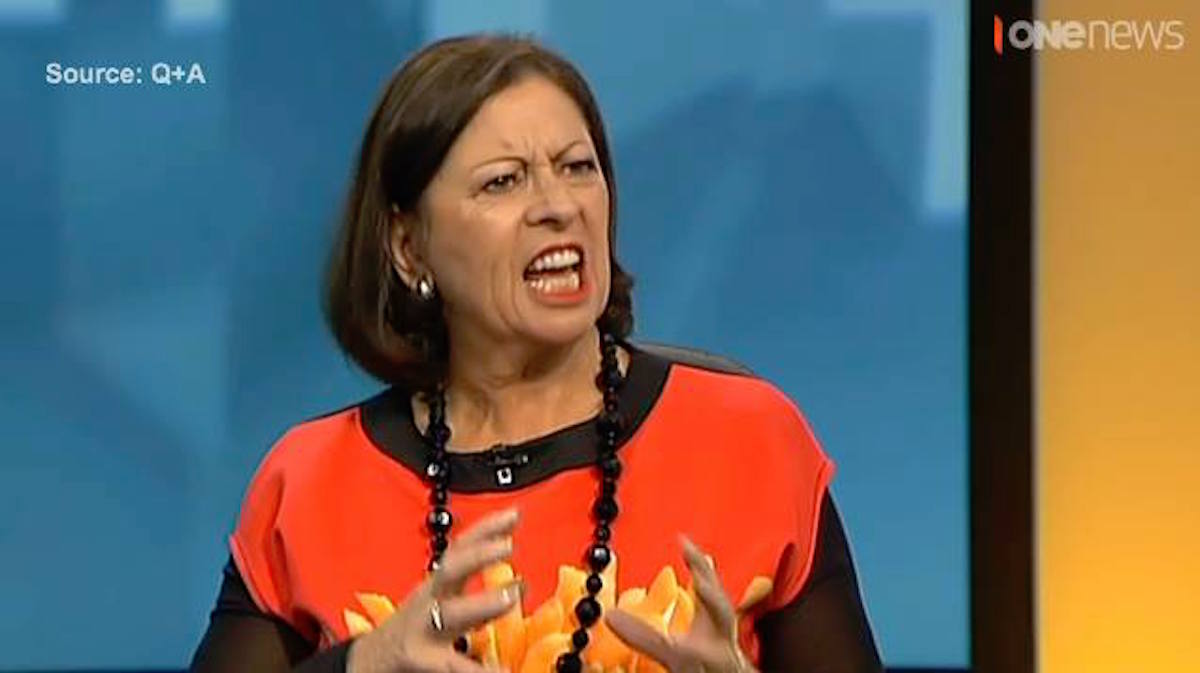 The BFD | National’s Former President, Michelle Boag Admits Passing ...