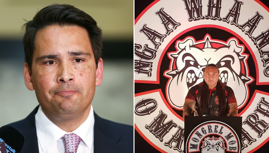 The BFD | Simon Bridges Takes on the Gangs