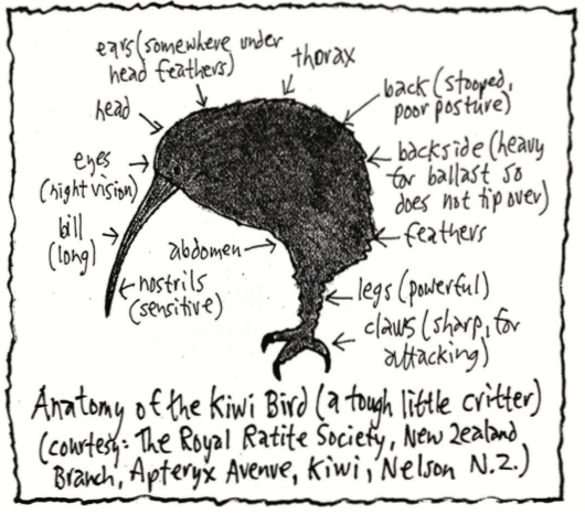 The BFD | Serial Book: A Humorous History of NZ