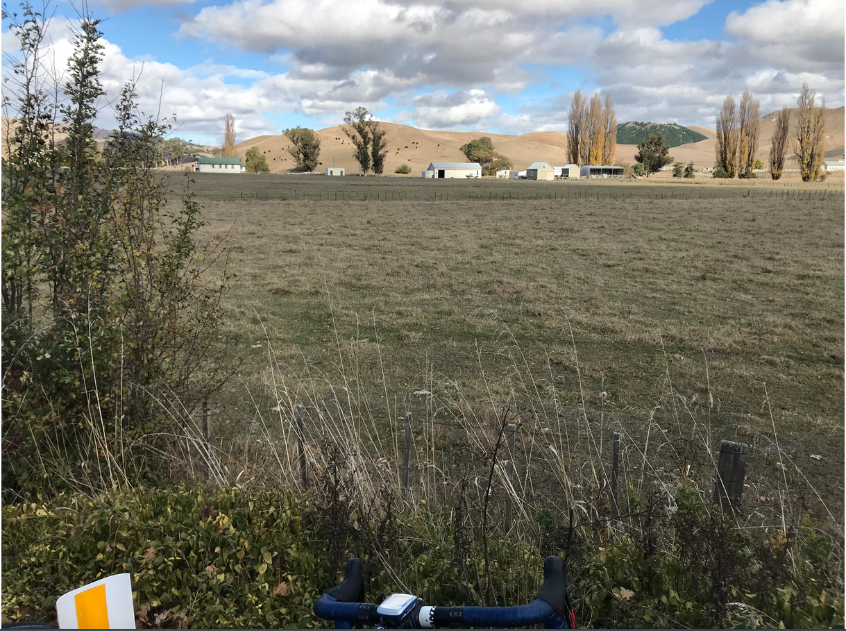 The BFD | The BFD View From Your Window