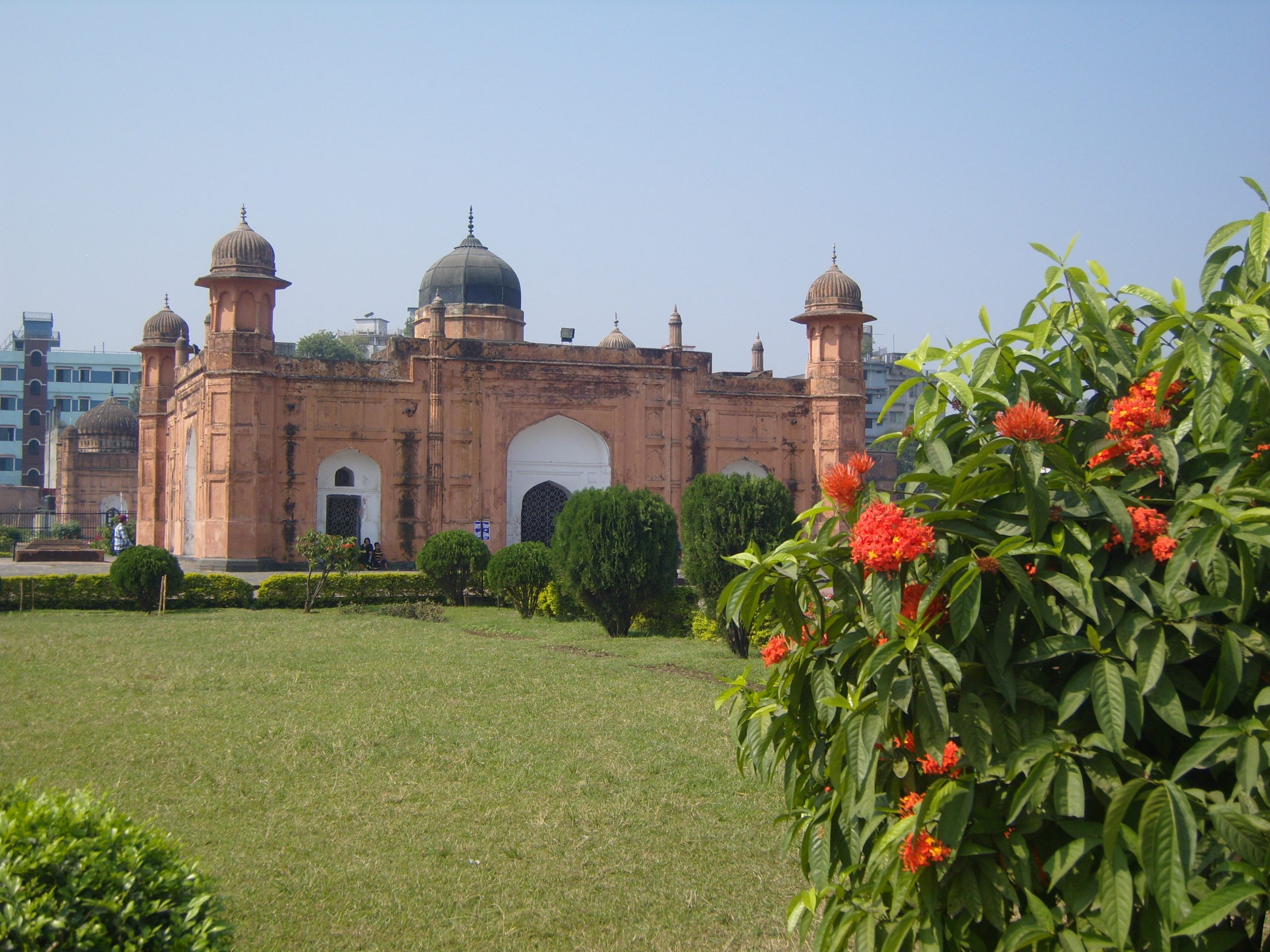 The BFD | The BFD View From Your Window