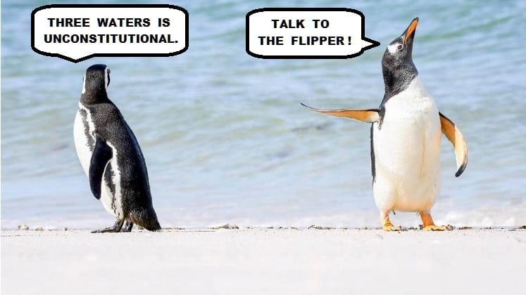 The BFD | BFD Caption Competition