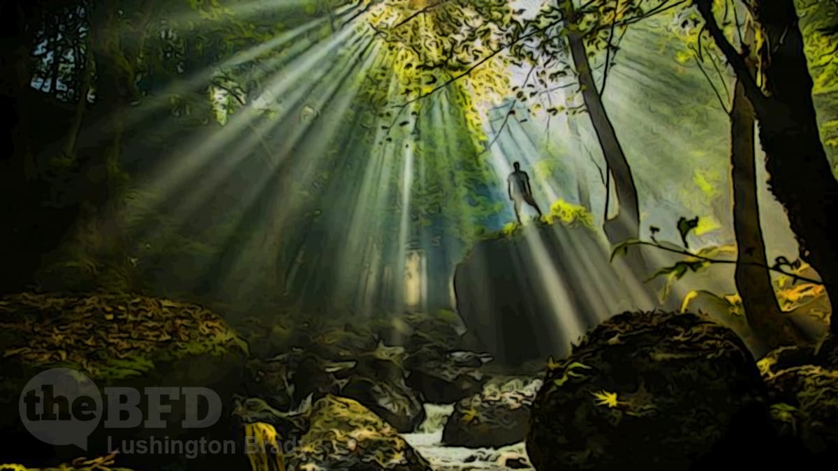 The BFD | How Humans Are Saving the World