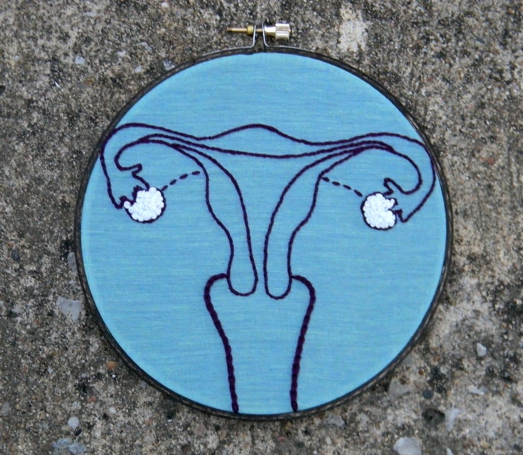 The BFD | UK’s First Successful Womb Transplant